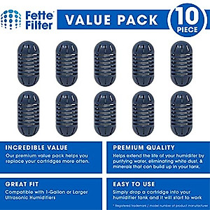 Fette Filter - Ultrasonic Demineralization Humidifier Replacement Cartridges Filters Mineral Deposits, Purifies Water, Eliminates White Dust, Removes Odor, Compatible with HoMedics - Pack of 10