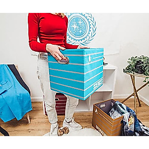 Star Trek: The Next Generation 13-Inch Fabric Storage Bin Cube Organizers, Set of 3