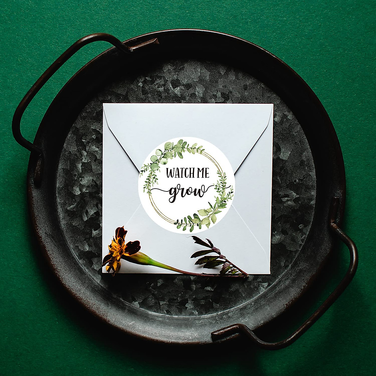 Watch Me Grow Stickers, Greenery Wedding Favor Stickers, Baby Shower Stickers, Favors, Decorations, 2 Inch, Pack of 50