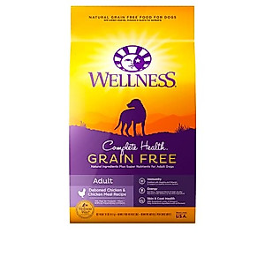 Wellness Complete Health Grain-Free Dry Dog Food, Natural Ingredients, Made in USA with Real Meat, For All Lifestages (Chicken, 24-Pound Bag)