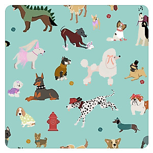 BapronBaby Dog Dress-Up Wet Dry Bag - Waterproof Two Zipper Pockets - Reusable for Mealtime, Diapers, Stroller, Snacks, Swimsuits - Machine Washable - 11" x 9"