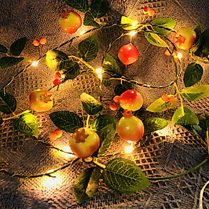 Artificial Fruit Pomegranate String Lights 6.56ft/20LED Rosehips Hanging Vines Plant Garland Foam Berries Light for Home Garden Wedding Party Decor (Z-Pomegranate Light, 1 Pack)