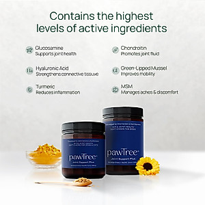 pawTree Joint & Hip Support Supplement for Dogs with Glucosamine, Chondroitin, MSM, Tumeric & Green Lipped Mussels - Vitamins, Supplements & Health Essentials - All-Natural Mobility Soft Chews