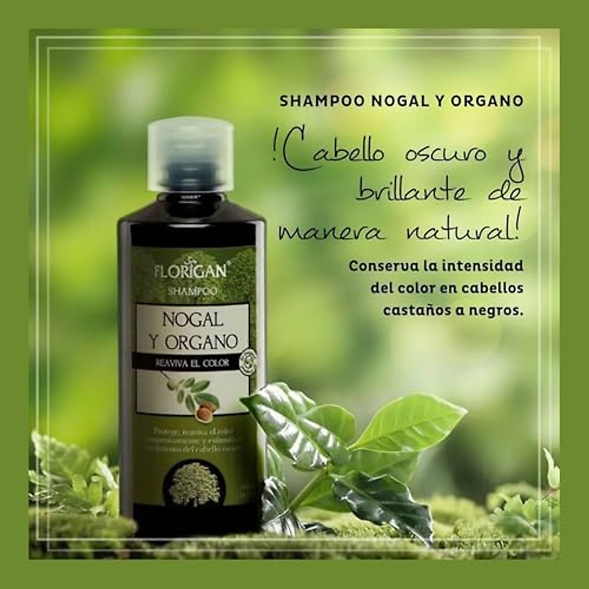 Florigan Natural Herbal Black Color Protection Shampoo Nogal y Organo 500ml