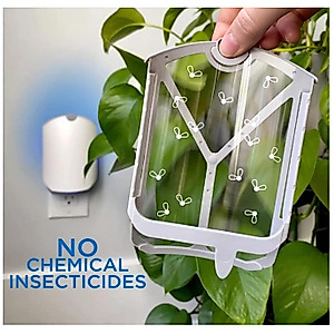 MELTINK ZEVO Indoor Flying Insect Trap for Fruit Flies, Gnats, and House Flies (1 Plug-in Base + 3 Refill Cartridge)