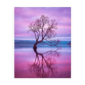 New Zealand Wanaka Tree - Inspirational Wall Decor, Nature Themed Motivational Wall Art, Zen Lake Design Art Print For Home Decor, Living Room Decor, Office Decor, or Studio Decor, Unframed - 8 x 10