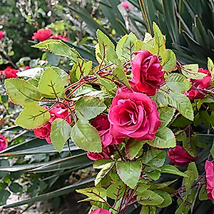 ONLY ART Fake Roses Flowers Vine Plants 2pcs Artificial Flower Hanging Rose Ivy for Mother's Day Wedding Home Hotel Office Party Garden Craft Art Décor (Hot Pink)