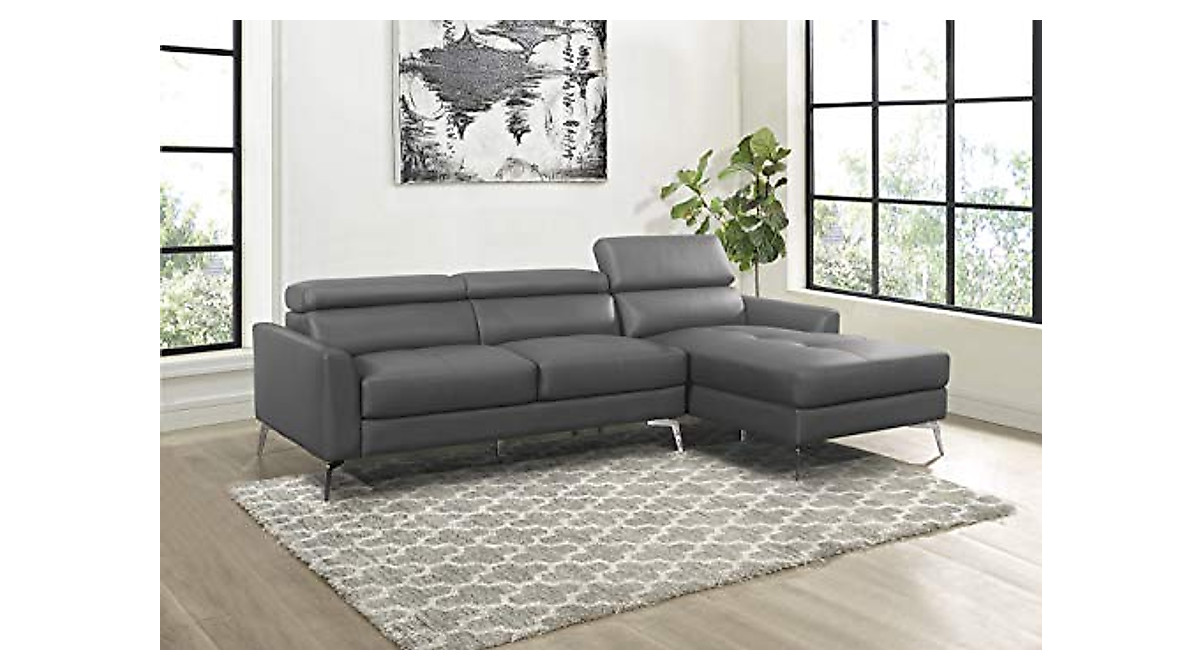 Stylish Lexicon Riggi Sectional Sofa in Gray