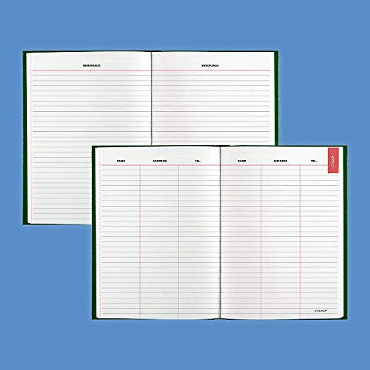 AT-A-GLANCE Standard Diary Undated Daily Reminder, 6 x 8.75 x 1-Inches, Green (SDU389-03)