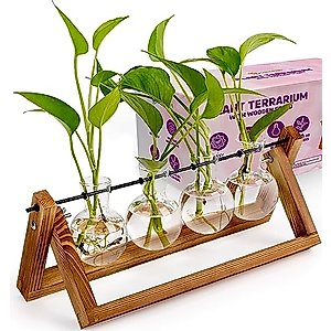 Plant Propagation Station Terrarium with Wooden Stand – Plant Terrarium Stand with 4 Glass Planters for Indoor Plants – Air Plant Holder for House Plants, Home and Office Decor