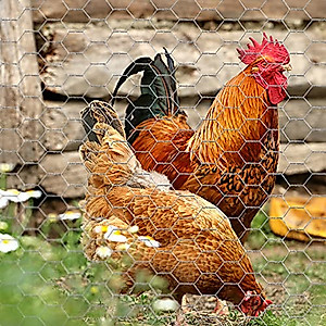 Chicken Wire 13.7 in x 236 in Poultry Wire Netting Hexagonal Galvanized Mesh Garden Fence Barrier for Craft Projects, Pet Rabbit Chicken Fencing