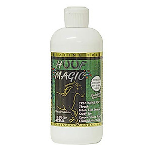 Equus Magnificus Essential Equine Hoof Magic Thrush Antiseptic 16 oz