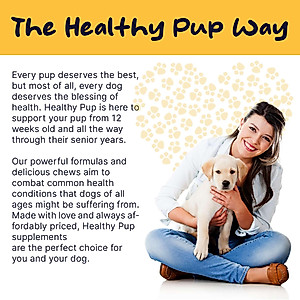 Dog Multivitamin Supplement - 120 Soft Chew Dog Vitamins and Supplements with Omega, Probiotics, Glucosamine, and More - for Small, Large, and Senior Dogs