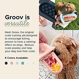 Diggs Groov Dog Training Toy I Puppy Training Aid I Crate Training Aids for Puppies I Attaches to Crate I Reduces Anxiety I Dog Treat Dispenser I Dog Kennel Toys I Turquoise