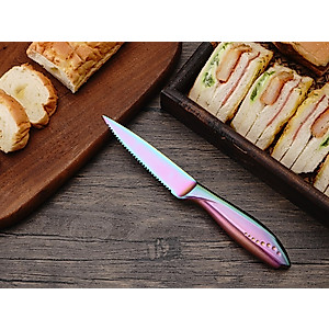 WELLSTAR Utility Knife, 4 Inch Serrated Paring Knife with Super Sharp Rainbow High Carbon Stainless Steel Blade for Fruit Vegetable Cutting Peeling Slicing