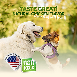 King Kanine Strong Plus Probiotic, Protein & Joints 6 oz | Organic Powder to Improve Join Mobility & Gut Health | Supplement for Dogs Care Made with Minerals & Vitamins | Veterinarian Approved