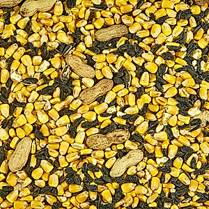 Kaytee Squirrel & Critter Food Blend For Squirrels, Chipmunks, Rabbits & Other Backyard Wildlife 10 Pound (Pack of 1)