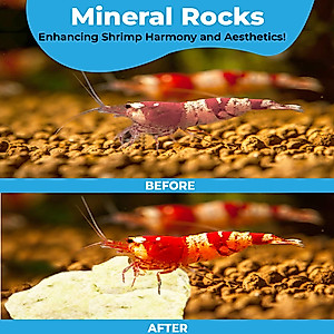 JOR Water Conditioner Calcium Rocks for Baby Shrimps, Isopods, and Crayfish, Enhances Pet Color, Provides Hideout, Breeding Spot, Beneficial for Shedding, Rustic Decor for Big and Nano Tanks, 3.5 oz.