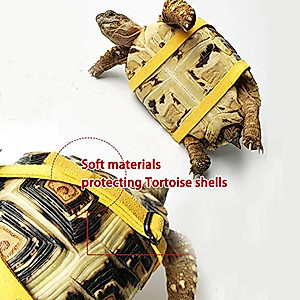 Vehomy Turtle Leash Lizard Leash Tortoise Harness Strap Pet Collar Leash Tortoise Walking Lead Control Rope S