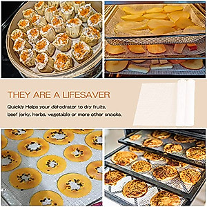 (12 Pack) Silicone Dehydrator Sheets, Dostk Premium Non Stick Silicone Mesh for Fruit Dehydrator , Dehydrator Tray Liner Reusable (14 x 14 inch)