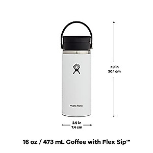 Hydro Flask 16 oz Wide Mouth with Flex Sip Lid Stainless Steel Reusable Water Bottle Cactus - Vacuum Insulated, Dishwasher Safe, BPA-Free, Non-Toxic