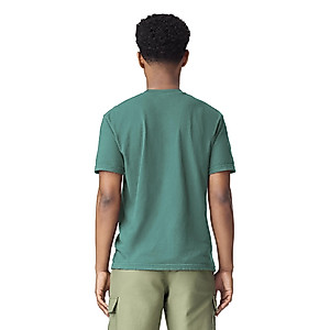 Comfort Colors Adult Short Sleeve Tee, Style G1717, Light Green (1-pack), Large