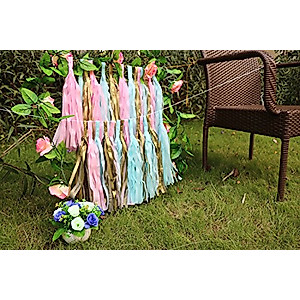 15 PCS Tissue Paper Tassels Set of 2 Tassel Garland Banner for Wedding, Baby Shower, Festival Items & Party Decoration, DIY Kits(Matte Gold+Pink+Blue)