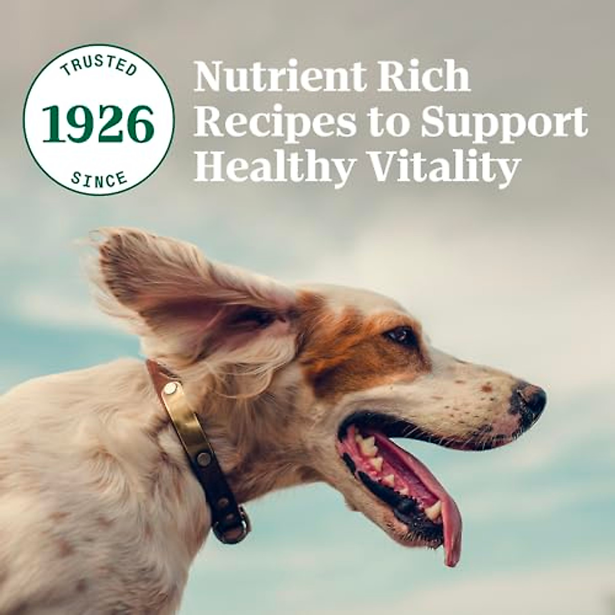 Nutro Natural Choice Small Bites Adult Dry Dog Food, Lamb and Brown Rice Recipe, 30 lbs.