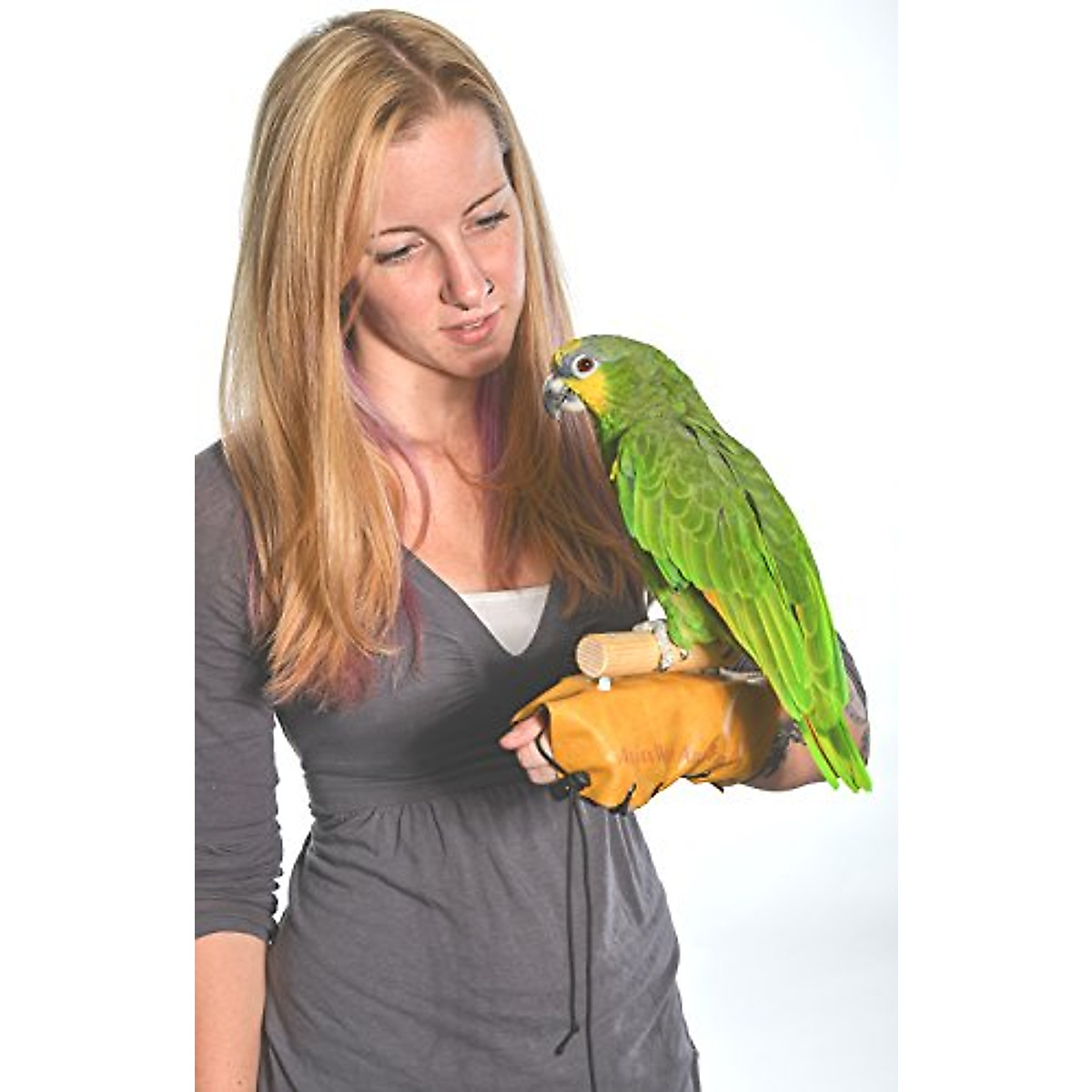 Avianweb™ Arm & Hand Perch (Large (1.5" Dowel))