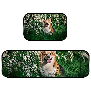 Vantaso Kitchen Floor Mat Rug Nice Small Dog Corgi Set of 2 Cushioned Non-Slip Comfort Runner Rugs