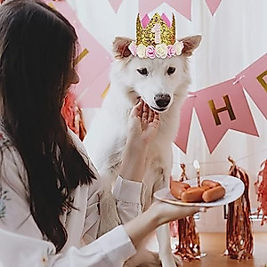 Haomaomao Baby Birthday Crown, Girls Party Hat Princess Gold Flower Tiara Photo Props Decorations Birthday Gifts (1st Birthday Crown)