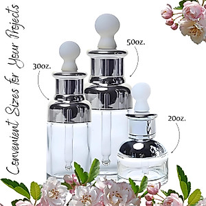 Luxury Clear Glass Dropper Bottles - Thick 2oz (50ml) Leakproof Eye Dropper Bottles for Essential Oils, Perfumes, Face Serums, Beauty & Personal Care, Tinctures, Travel (2oz. Silver)