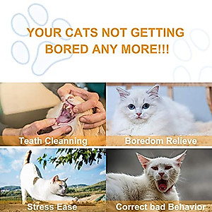 Backagin Fish Cat Toys 11" 2022 Upgraded, Realistic Dancing Fish Cat Chew Toy, Moving Fish Cat Kicker Toy, Fish Cat Toys, Catnip Toys Dog Toys, Kitten Toys, Chargeable