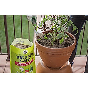 SCOTTS MIRACLE GRO 100132 MG Fruit/Flower Food, 8-Pound