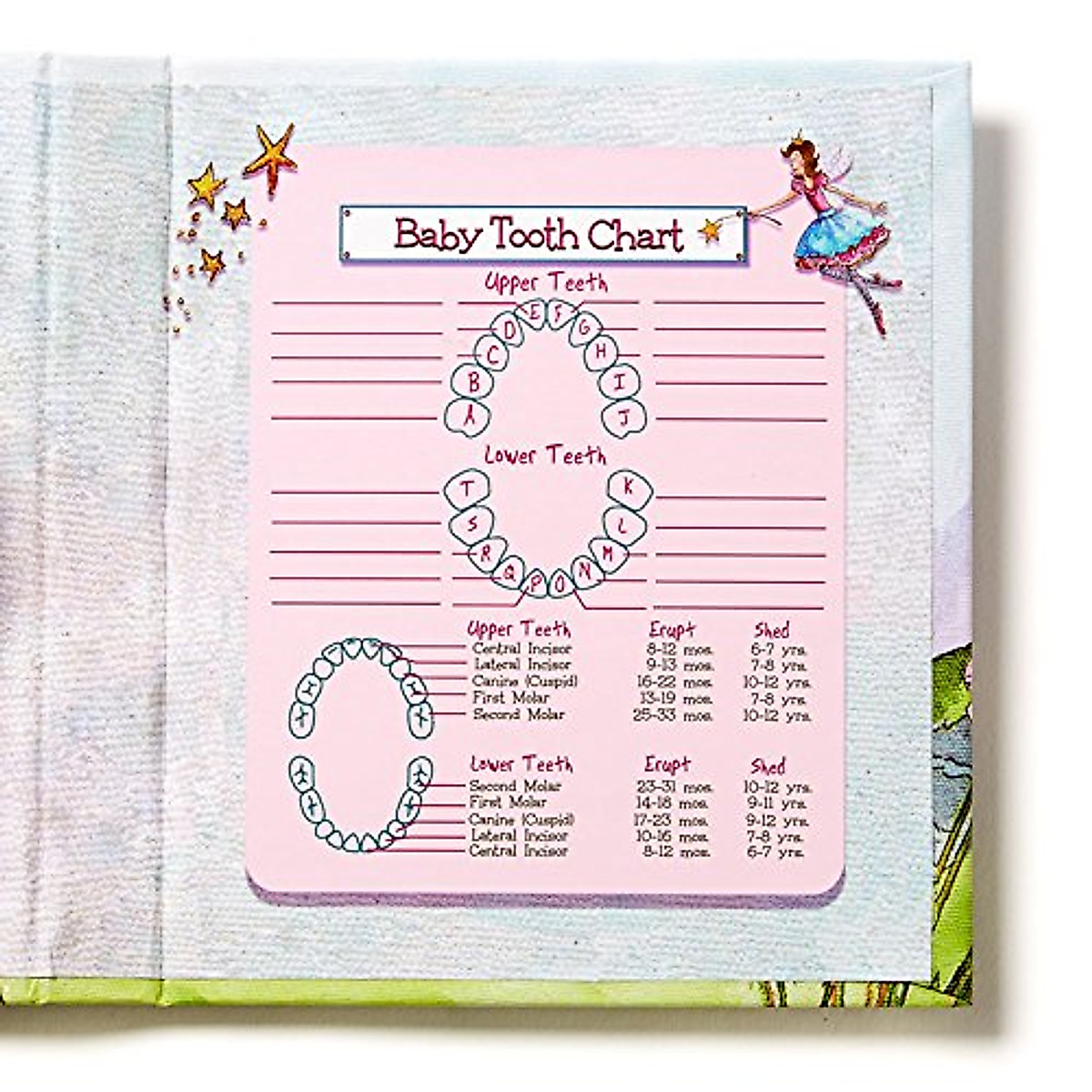 Baby Tooth Album - Tooth Fairy Land Collection - Girl