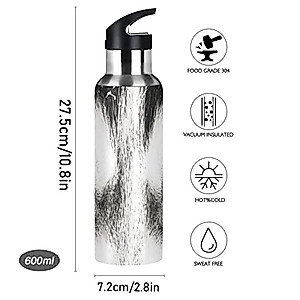 Oarencol Dog Blue Eyes Huskie Animal Water Bottle Stainless Steel Vacuum Insulated Thermos with Straw Lid 20 Oz