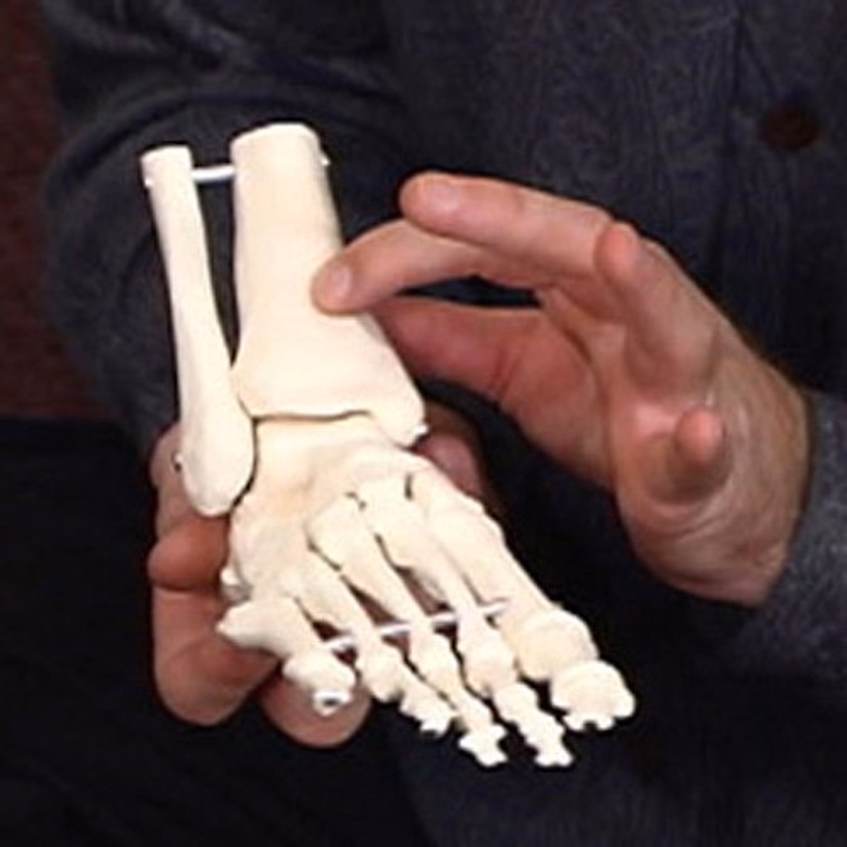 Comprehensive Reflexology & Massage: The Foot