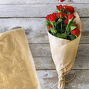 RUSPEPA Gift Wrapping Tissue Paper - Tissue Paper for Gift Wrap, Art Crafts, DIY, Pack Bags, Birthday, Wedding and More - 15 x 20 inches - 100 Sheets - Khaki