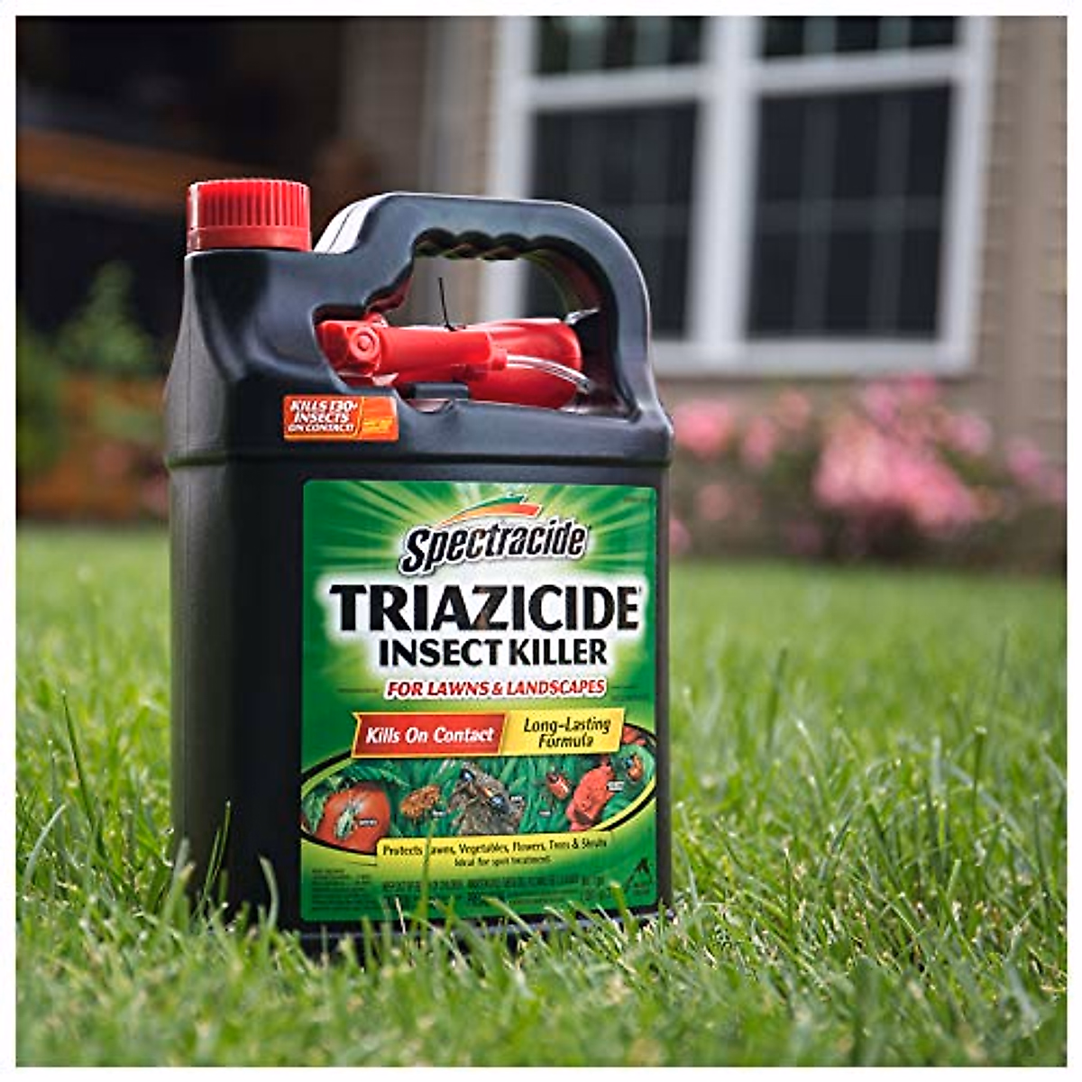 Spectracide Insect Killer, 1 gallon
