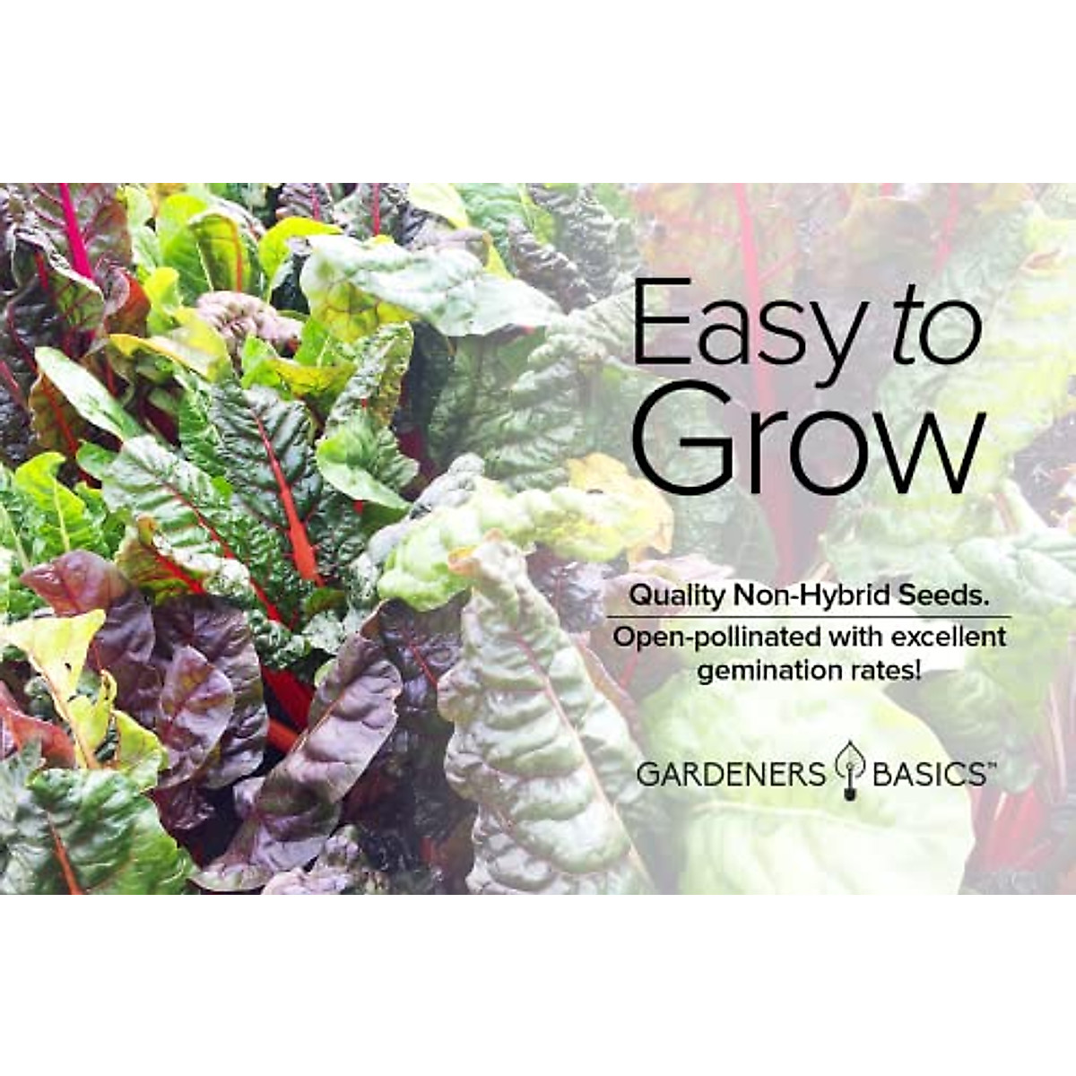 Swiss Chard Seeds for Planting (Rainbow) Non-GMO Vegetable Variety- 5 Grams Seeds Great for Summer, Fall and Winter Gardens by Gardeners Basics