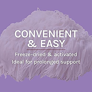 Host Defense, Lion's Mane Capsules, Promotes Mental Clarity, Focus and Memory, Mushroom Supplement, 60 Count