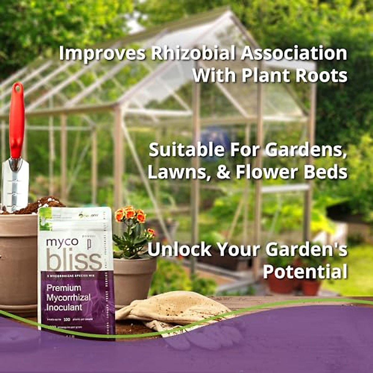 Myco Bliss Powder (2lbs) - 5 Strain Mycorrhizal Inoculant with 1,000 Propagules per Gram - Highly Concentrated Mycorrhizae for Plants, Potting Soil, Indoor Plants, Outdoor Plants, & Houseplants