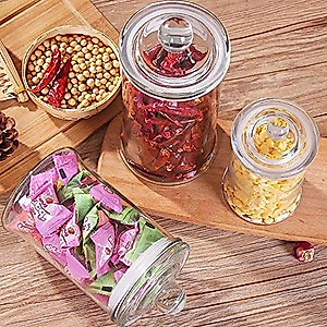 Maredash Glass Apothecary Jars,Bathroom Storage Organizer with lids - Glass canisters Jar Cotton Ball Holder Set of 4