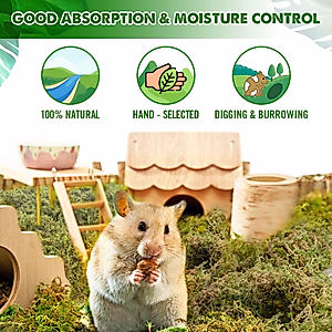 Duspro 5oz Hamster Bedding, Natural Forest Moss Bedding for Hamster, Hamster Bedding Odor Control, Decorate Hamster Hideout with Moss.