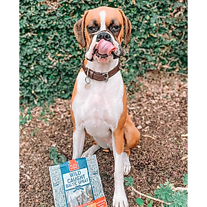 PLATO Baltic Fish Dog Treats Variety Pack, (1) Sprat 3oz and (1) Herring 3oz, 6oz Total