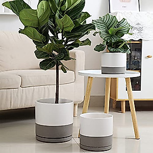 UMIAMOY 6inch Modern Cylinder Matte Ceramic Planter Pot with Drainage Hole and Saucer, Planter Pot for Indoor Outdoor Plants Flowers, White/Gray