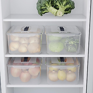 Ponpong 4 Packs Airtight Lid Food Storage Boxes Set, 15 Quart Plastic Food Storage Bin, Clear