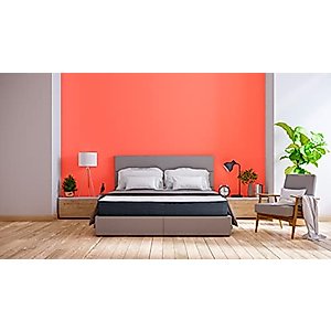 Swiss Ortho Sleep, 12" Inch Memory Foam and Innerspring Hybrid Medium-Firm Plush Mattress/Bed-in-a-Box/Pressure Relieving Bliss, Queen,White