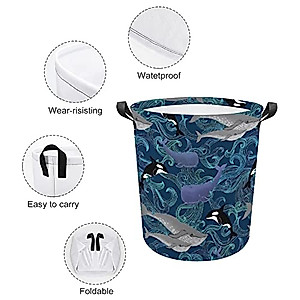 Whales Beautiful Ocean Giants Large Laundry Basket Hamper Bag Washing with Handles for College Dorm Portable