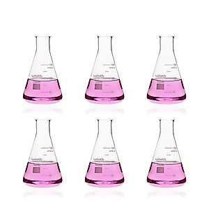 Labvida 6pcs of Narrow Mouth Glass Erlenmeyer Flasks, Vol.150ml, 3.3 Borocilicate with Printed Graduation, LVC002